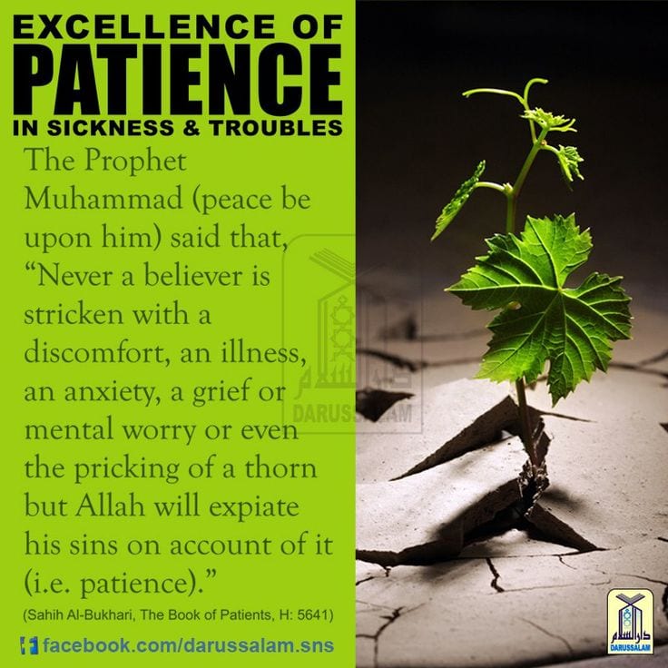 50 Best Islamic Quotes About Patience