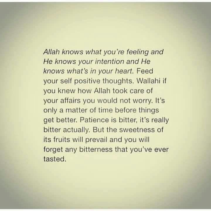 50 Best Islamic Quotes About Patience