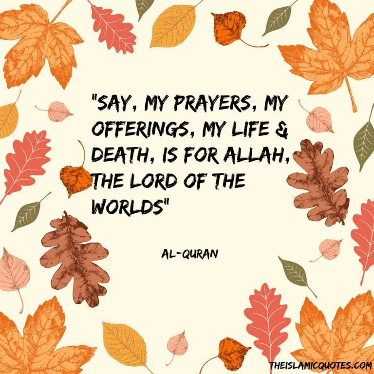 50 Islamic Quotes on Life with Images and Meaning