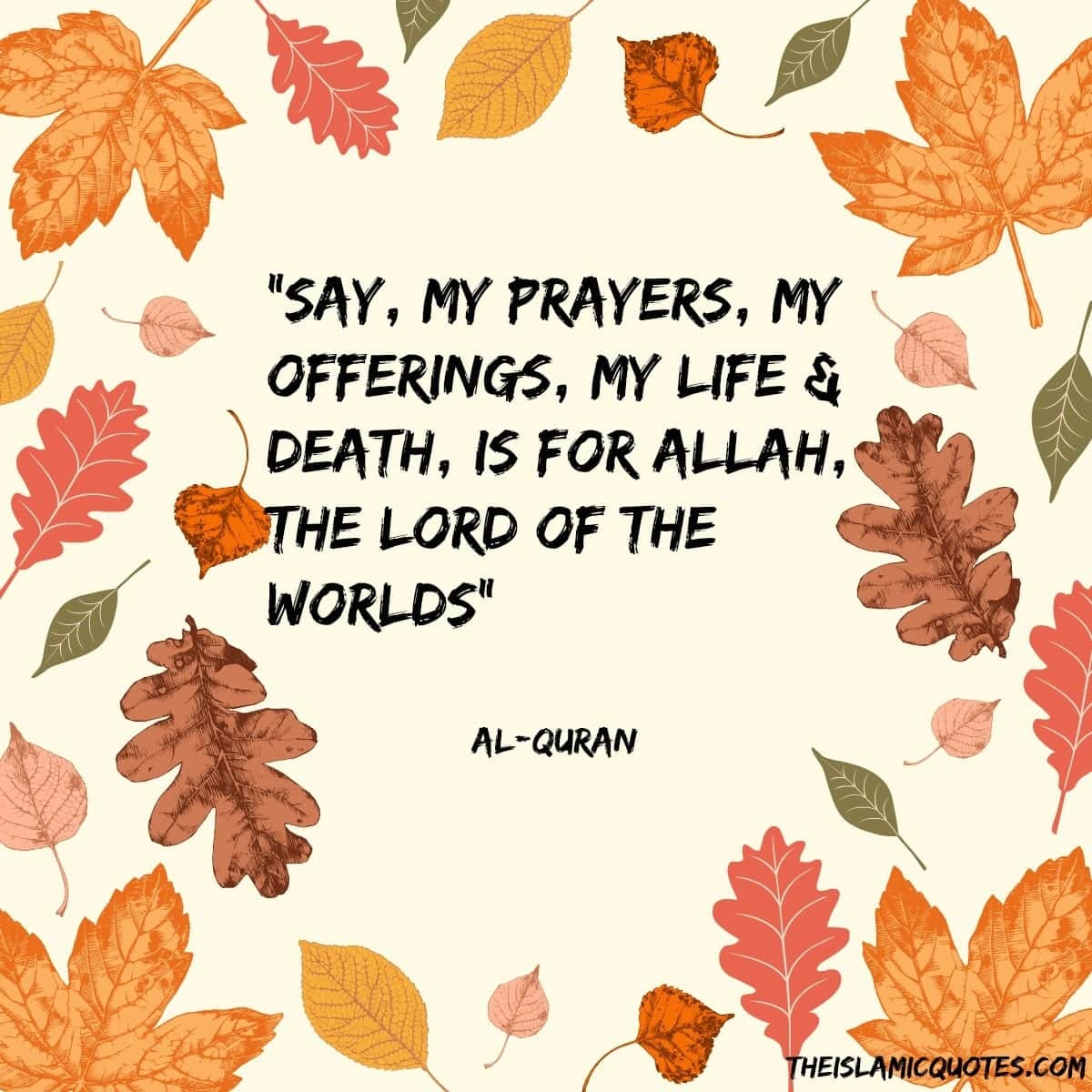 50 Islamic Quotes on Life with Images and Meaning