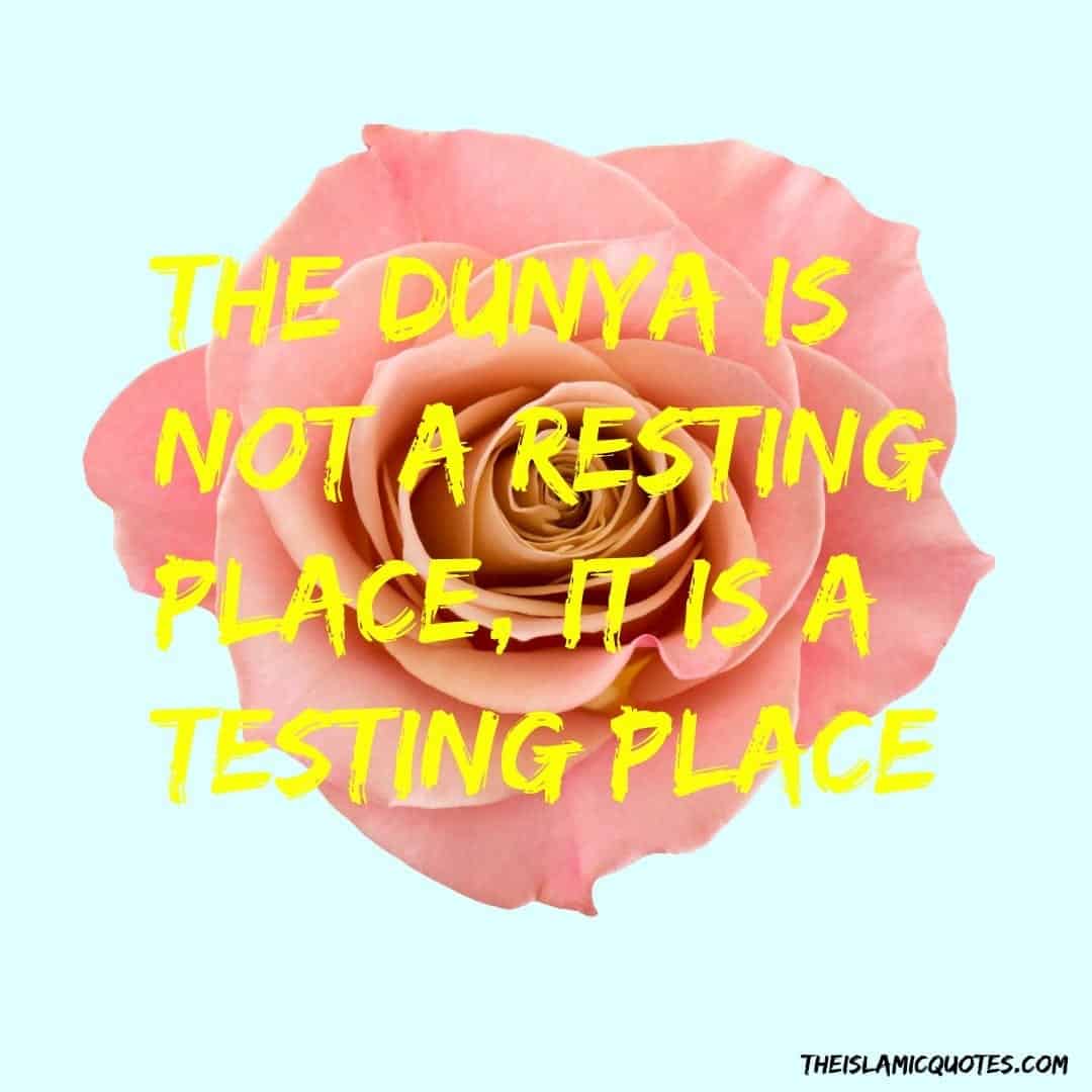 50 Islamic Quotes on Life with Images and Meaning