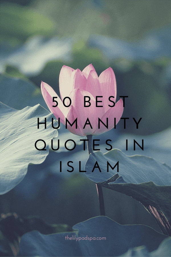 Quranic Verses on Peace- 10 Verses Proving Islam Is Peaceful