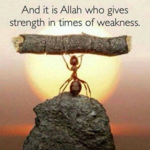 50 Best Allah Quotes and Sayings with Images