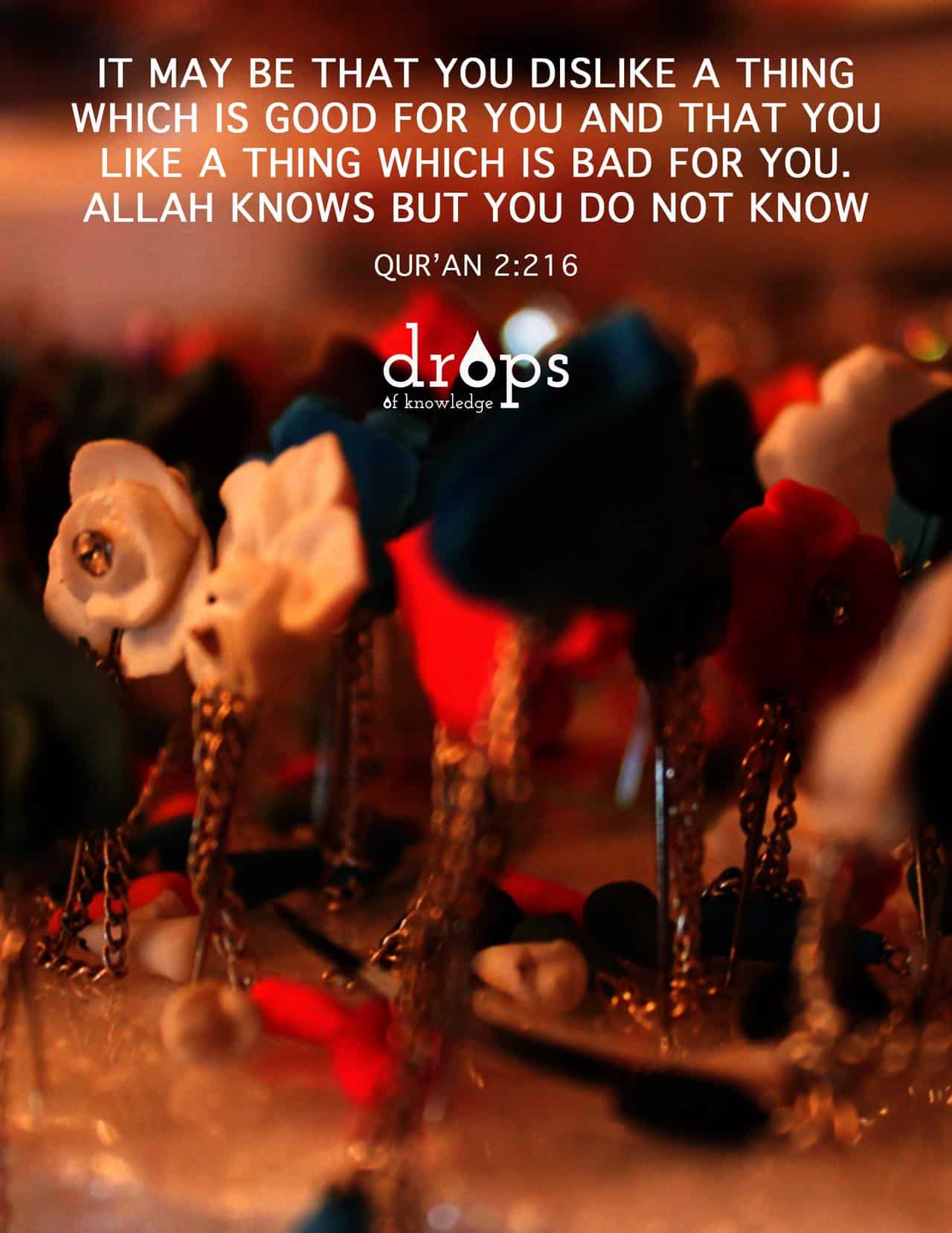 50 Best Islamic Quotes from Quran and Quran Sayings
