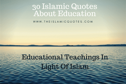 10 Islamic Quotes on Nature & The Concept of Nature in Islam