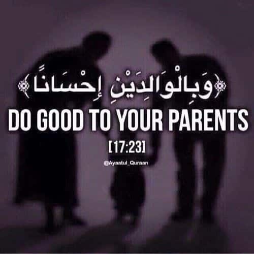 30 Inspiring Islamic Quotes on Education / Knowledge /Study