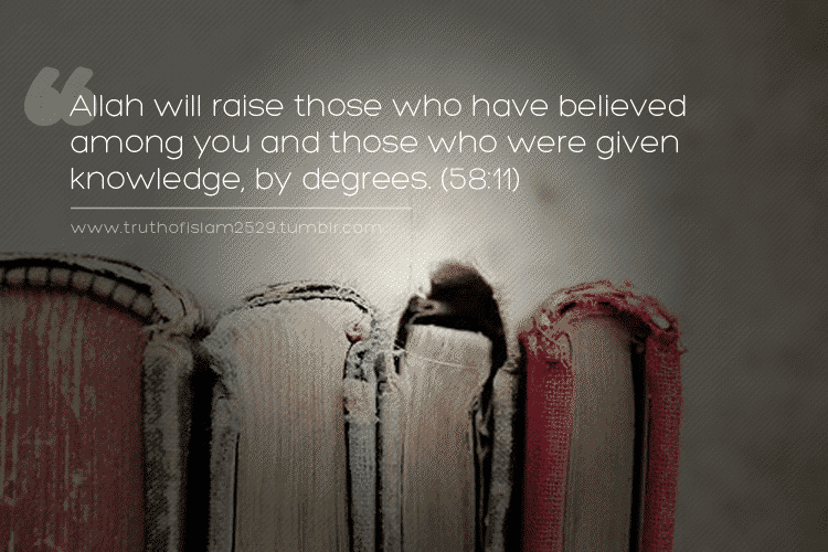 30 Inspiring Islamic Quotes on Education / Knowledge /Study