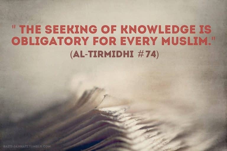 30 Inspiring Islamic Quotes on Education / Knowledge /Study