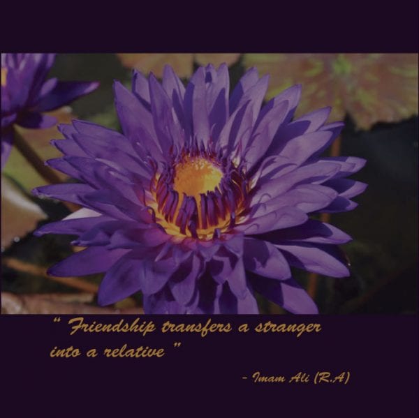 40 Best Islamic Quotes on Friendship -Value of Friendship