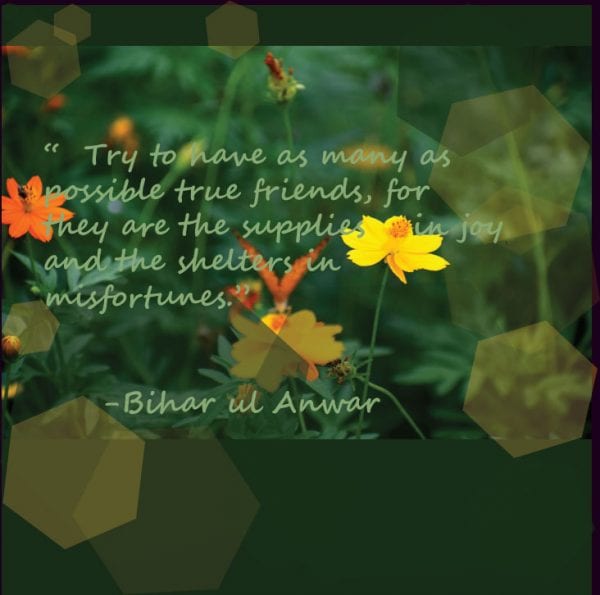 40 Best Islamic Quotes on Friendship -Value of Friendship