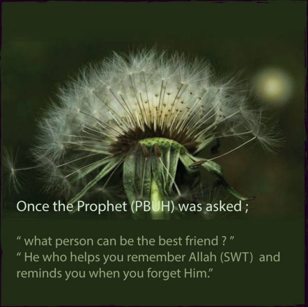 40 Best Islamic Quotes on Friendship -Value of Friendship