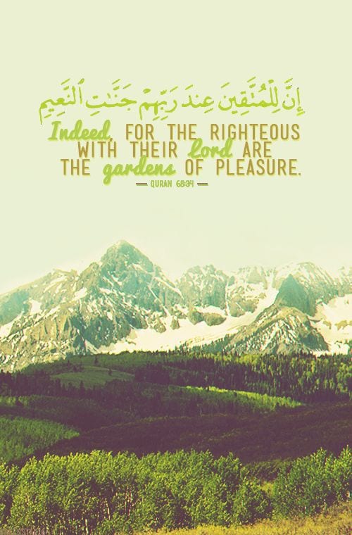 35+ Islamic Quotes On Paradise (Jannah)