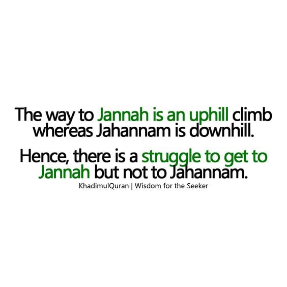 35+ Islamic Quotes On Paradise (Jannah)