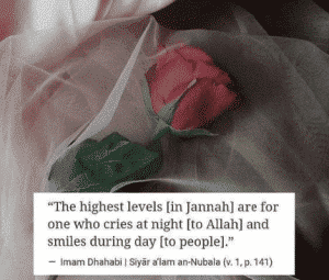 35+ Islamic Quotes On Paradise (Jannah)