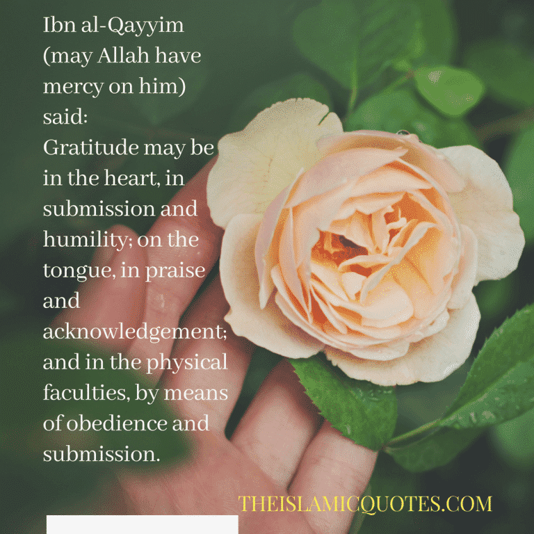 Alhamdulillah Quotes - 25 Beautiful Thanking Allah Quotes