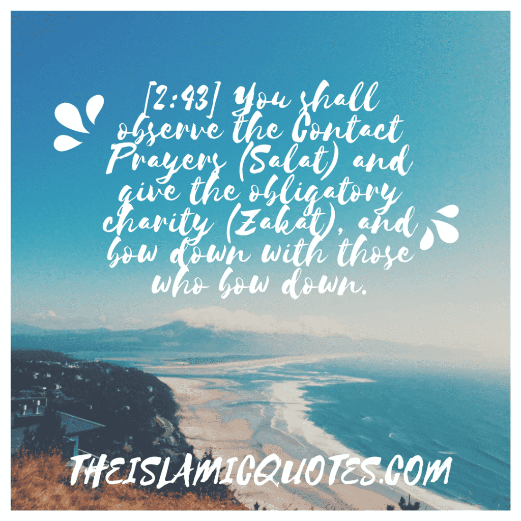 30 Best Islamic Quotes On Wealth – Quran on Money Matters