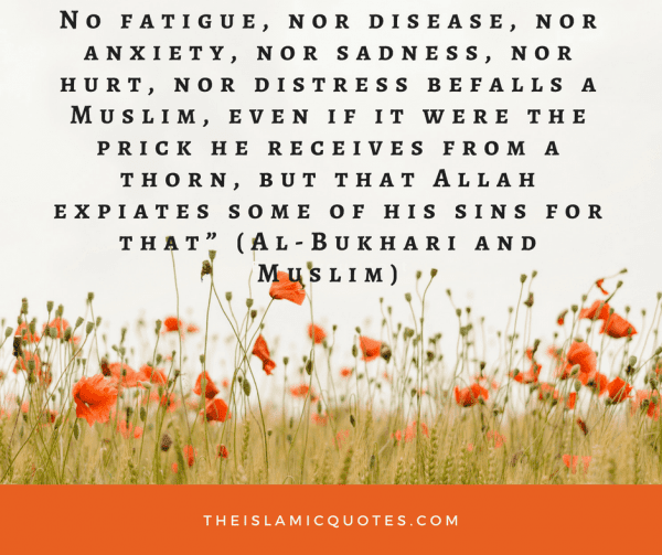 30+ Islamic Quotes About Hardships in Life-How to Ease Dua?
