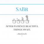 Sabr in Islam-30 Beautiful Islamic Quotes on Sabr & Patience