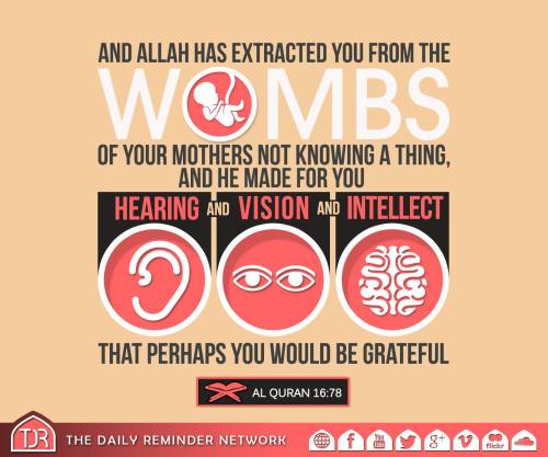 Gratitude Quotes - 23 Islamic Quotes About Being Grateful