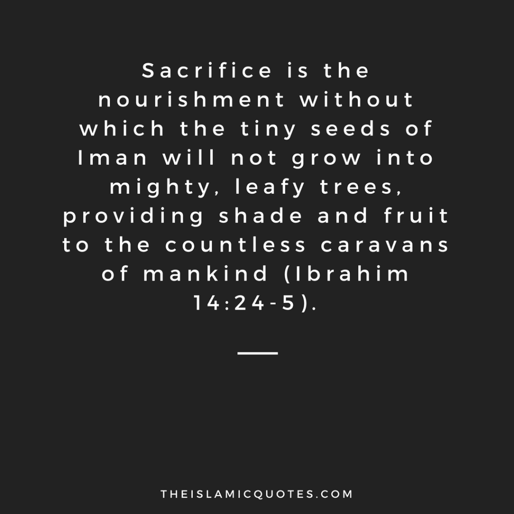 30 Islamic Quotes on Qurbani/Sacrifice and Eid ul Adha