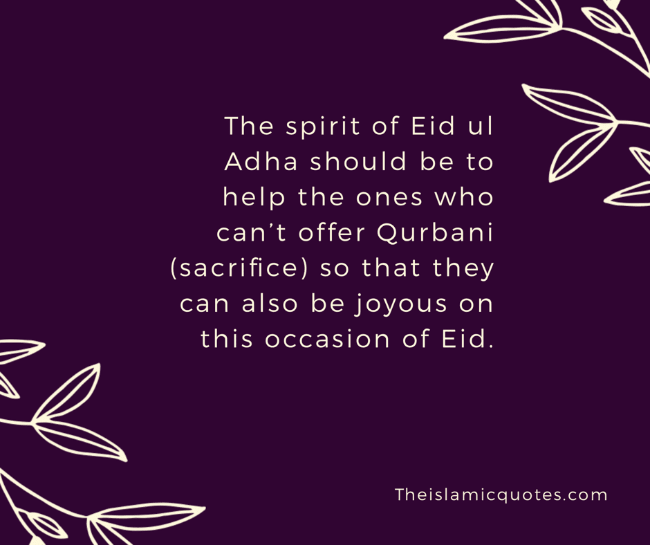 30 Islamic Quotes on Qurbani/Sacrifice and Eid ul Adha