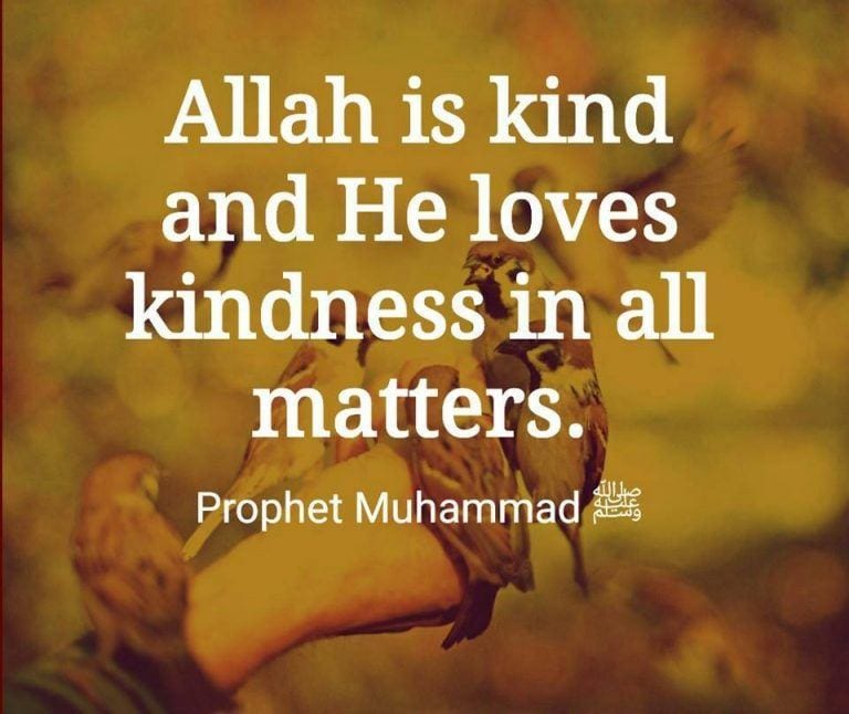 Kindness In Islam - 10 Best Islamic Quotes on Kindness