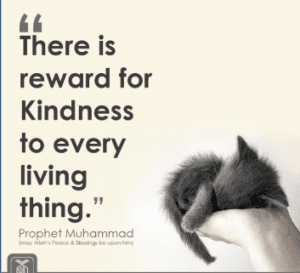 Kindness In Islam - 10 Best Islamic Quotes on Kindness