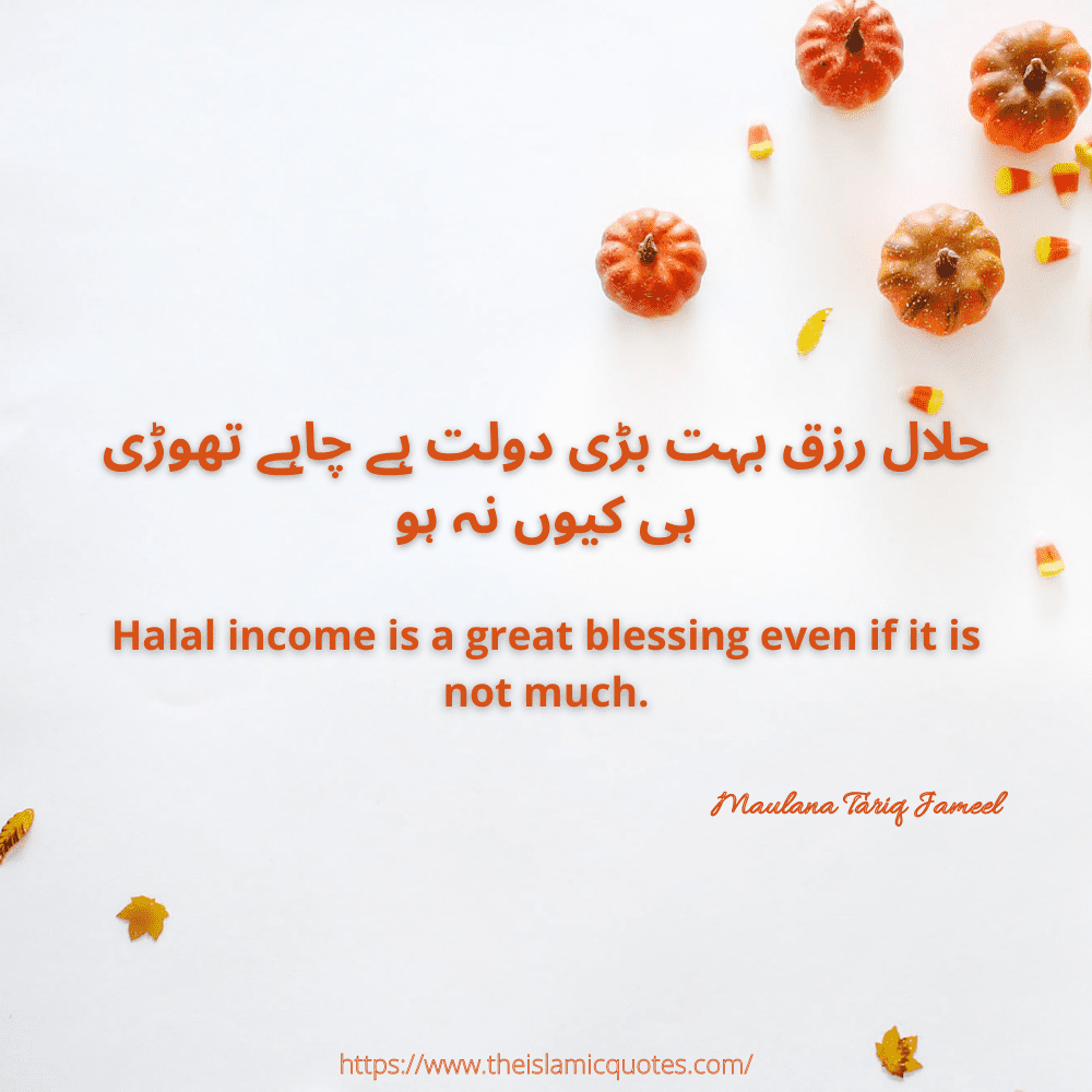 25 Heart Touching Islamic Quotes by Maulana Tariq Jameel