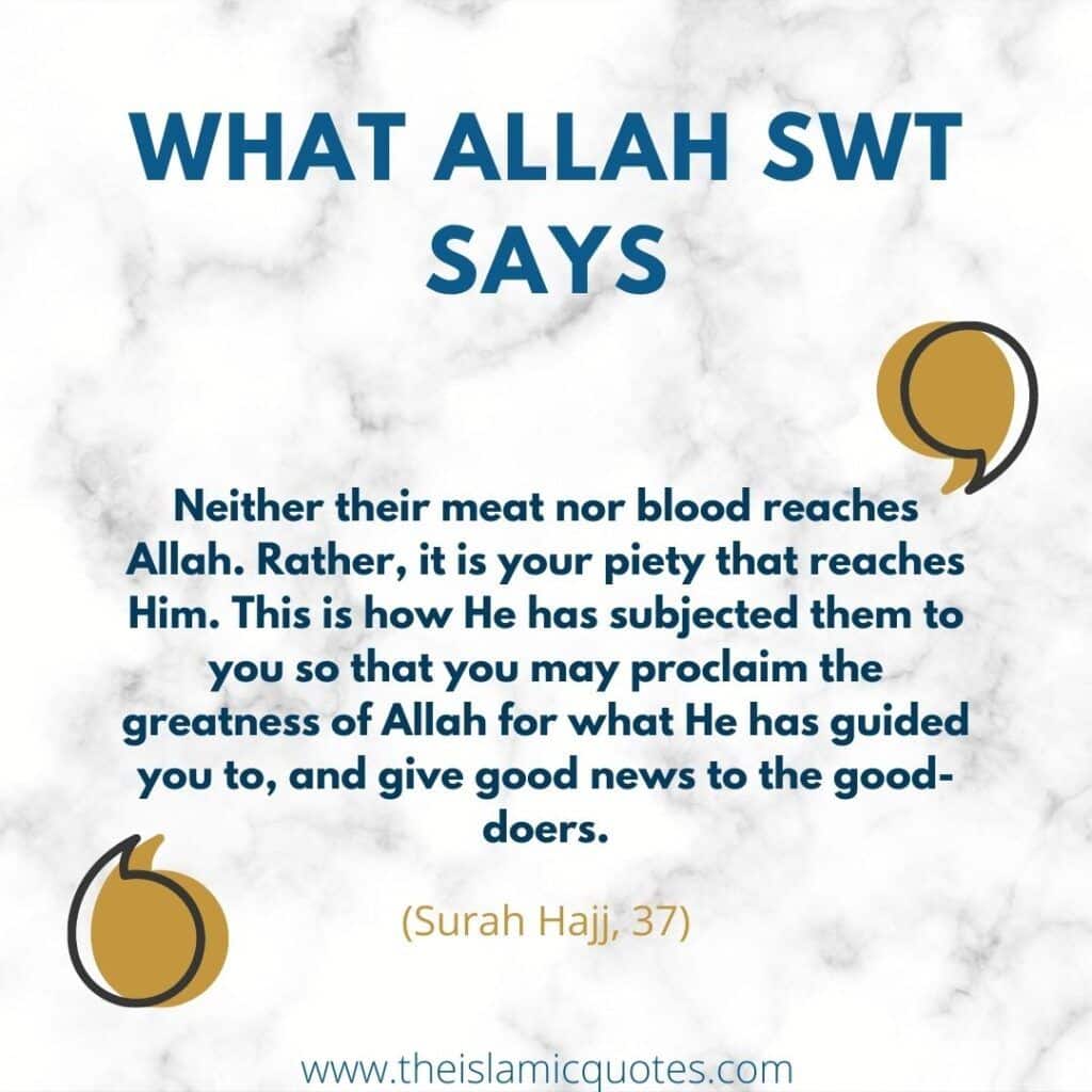 12 Things You Need to Know About Eid ul Adha & Qurbani Rules