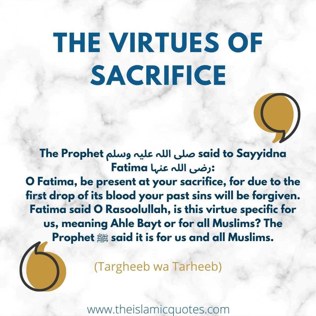 12 Things You Need to Know About Eid ul Adha & Qurbani Rules