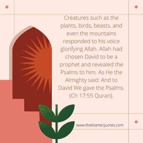 4 Most Important Lessons from the Life of Prophet Dawood (AS)