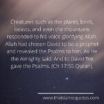 4 Most Important Lessons from the Life of Prophet Dawood (AS)