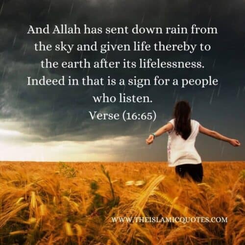 10 Islamic Quotes on Nature & The Concept of Nature in Islam