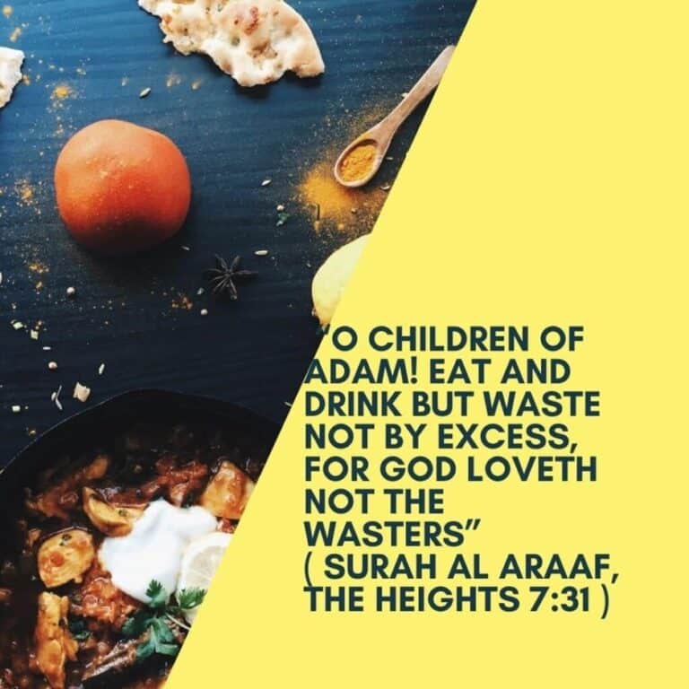 10 Islamic Quotes on Nature & The Concept of Nature in Islam