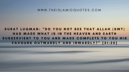 10 Islamic Quotes on Nature & The Concept of Nature in Islam