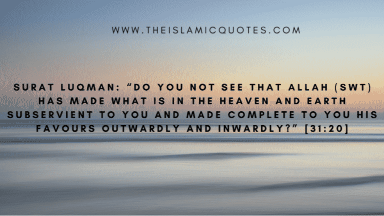 10 Islamic Quotes on Nature & The Concept of Nature in Islam