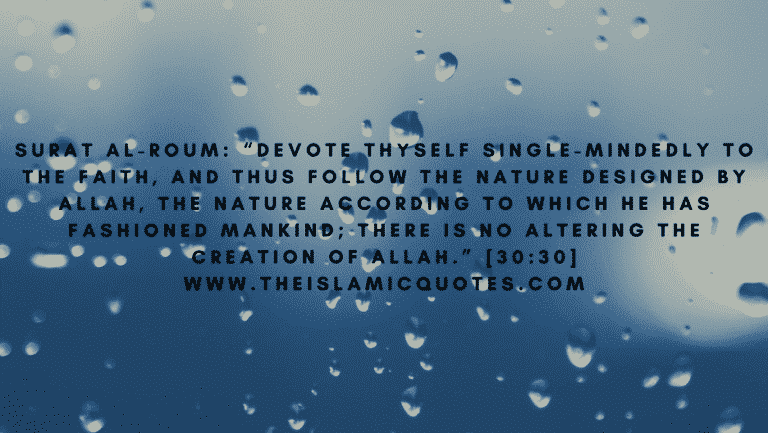 10 Islamic Quotes on Nature & The Concept of Nature in Islam