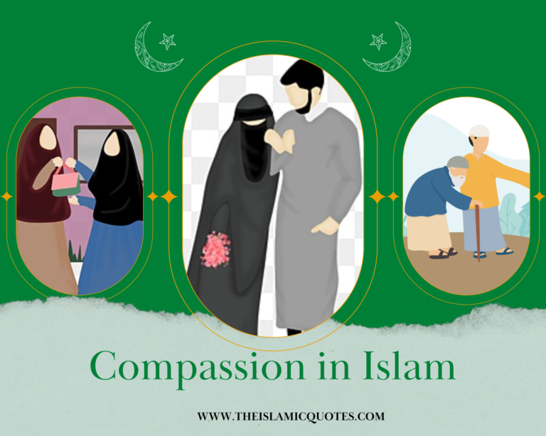 Kindness In Islam - 10 Best Islamic Quotes on Kindness