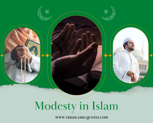 Islamic Quotes - Quran - Hadith - Allah Sayings